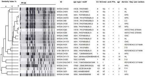 Genetic Relatedness Among Mrsa Isolates Upgma Dendrogram Showing Download Scientific Diagram