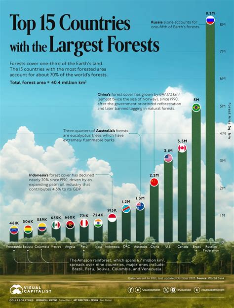 The 9 Largest Forests In The World National Traveller