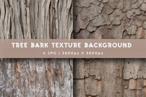 Tree Bark Textures Digital Paper Graphic By Srempire Creative Fabrica