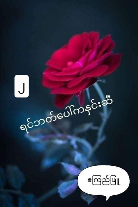 ဧကြည်ဖြူ ရင်ဘတ်ပေါ်ကနှင်းဆီ ဧကြည်ဖြူ၏ ဝတ္ထုများ