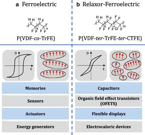 Applications Of Ferroelectrics At Milla Stelzer Blog