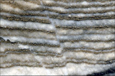 15 4 Activity 15c Geologic Structure Identification Geosciences Libretexts