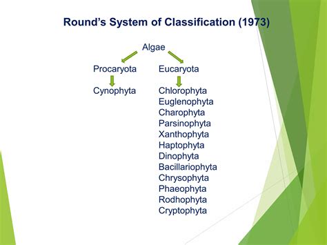 Classification Of Algaepdf Classification Of Algaepdf