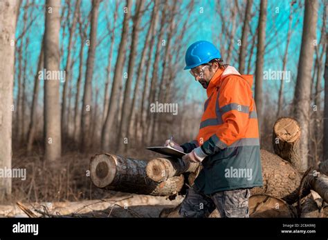 Forestry Technician Writing Logging Process Notes On Clipboard Notepad In Forest Leaning On To