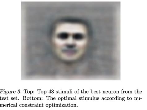Ml Paper Challenge Day 36 37— Building High Level Features Using Large