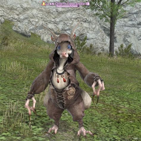 Qiqirn Eggcandler Gamer Escapes Final Fantasy Xiv Ffxiv Ff14 Wiki