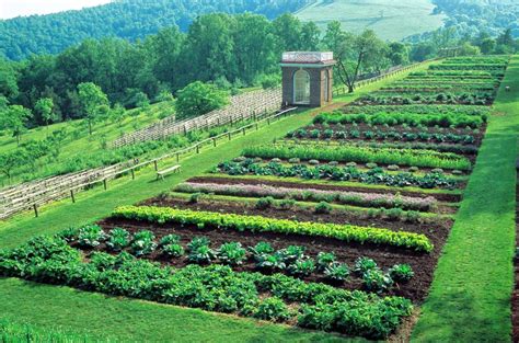 Pic Thomas Jefferson S Gardens
