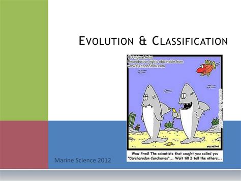 Ppt Evolution And Classification Powerpoint Presentation Free Download Id 6052777