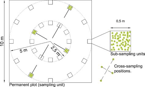 Sampling Design In Each Permanent Plot Sampling Unit Four Download Scientific Diagram