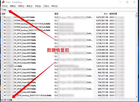 【91数据恢复】感染了halo勒索病毒怎么办？如何确保数据完整恢复？ 阿里云开发者社区