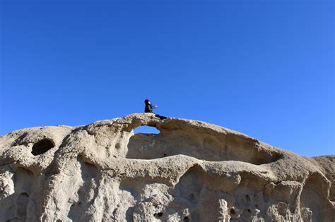 Sassys Photography Shoofly Oolite Idaho
