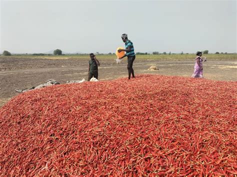 E Srinivasa Raju On Linkedin Loading Time
