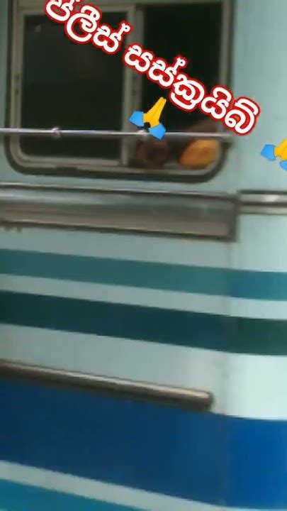 කෑගල්ලෙ චාම් හැඩකාරයා මායාවි Sanju 😍😍 Youtube