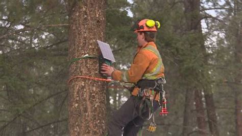 Sensors For Early Wildfire Detection Installed In Vernon Watch News Videos Online