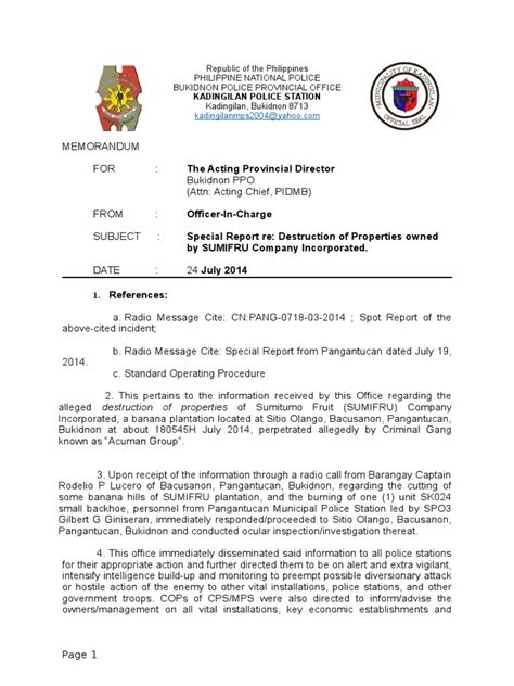 Sample Special Report Plain Memo