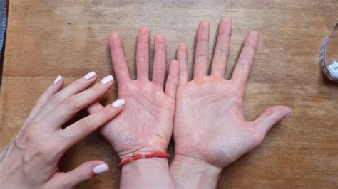 Measuring And Comparing Muscle Fantasy Clips Sale