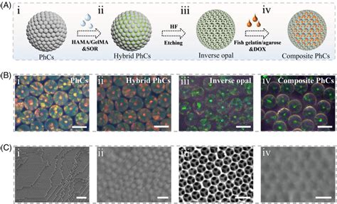 Spatiotemporal Responsive Hydrogel Microspheres For The Treatment Of Gastric Cancer Wang