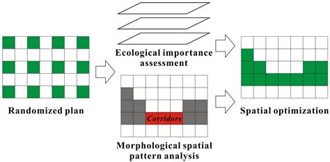 Forests Free Full Text Spatial Optimization With Morphological Spatial Pattern Analysis For