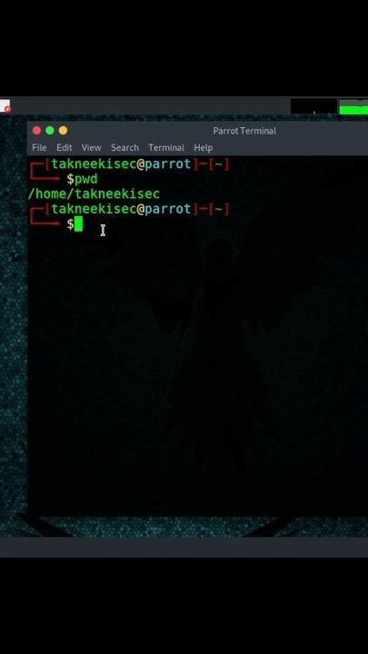 linux for everyone 04 navigation commands shorts linux