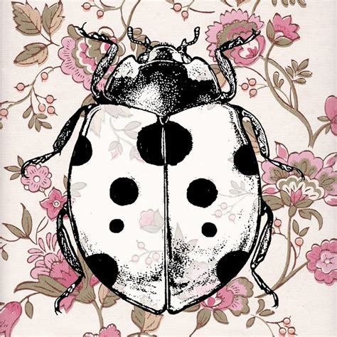 Somerset House Images Ladybug Wallpaper Square