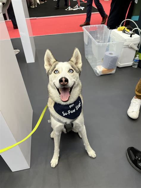 Big Data Ldn On Linkedin Bigdataldn Big Data Ldn On Linkedin Bigdataldn