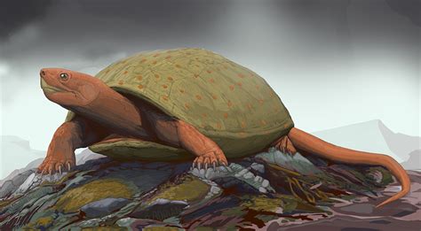 New 90 Million Year Old Fossil Turtle Discovered Living Alongside