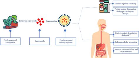 Enhancing Bioaccessibility And Bioavailability Of Carotenoids Using Emulsion Based Delivery
