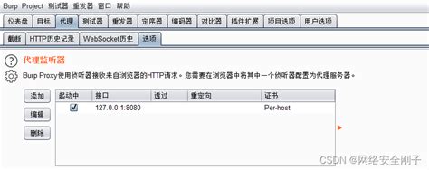 Burpsuite 五种代理抓包方式（本地、谷歌、火狐浏览器两种插件）burpsuite谷歌浏览器代理 Csdn博客