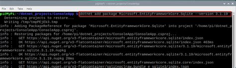 Raspberry Pi Run Net Core Console App Sqlite Database Audministrator