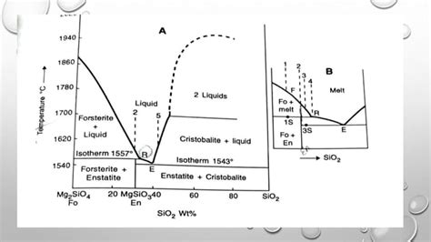 Peritectic Systemforsterite Silica Systemigneous Petrologypptx Peritectic Systemforsterite Silica Systemigneous Petrologypptx