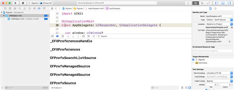 advanced apple debugging and reverse engineering chapter 4 stopping in code kodeco