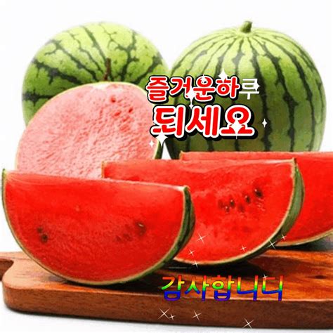 여름 과일수박 드세요