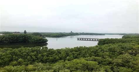 Thematic Units What Are They And How Do They Work Home Learning Kit