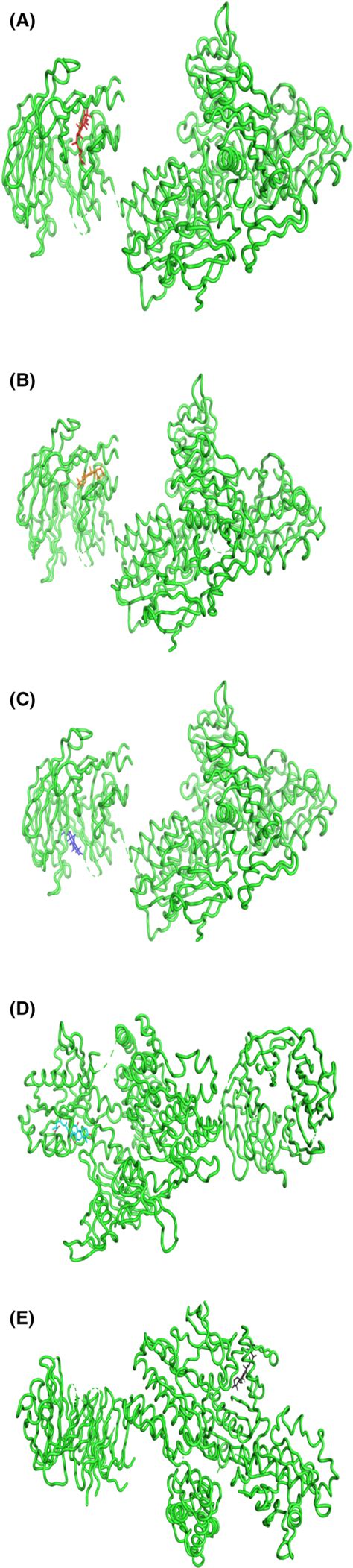 Ganoderic Acid A Targeting Leucine‐rich Repeat Kinase 2 Involved In Parkinsons Disease A