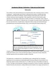 Eukaryota And Protists LAB HANDOUT Docx Introductory Biology II Laboratory Eukaryota And The