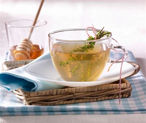 Thymian Honig Tee Rezept Lecker