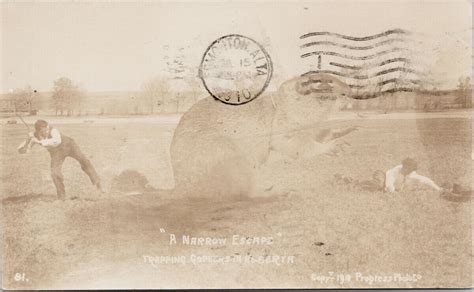 Trapping Gophers In Alberta Exaggeration Giant Gopher Progress Rppc Postcard G95 Canada