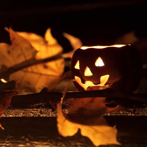 Capodanno Celtico La Vera Festa Di Halloween Alle Murate