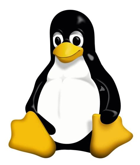 a beginner s guide to installing linux r linux