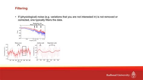Fnirs Data Analysis Pdf