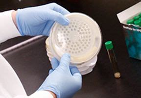 IDEXX SimPlate For HPC PT THERMALINDO