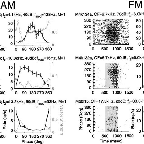 Additional Examples Of Relative Modulation Phase Tuning Functions For Download Scientific