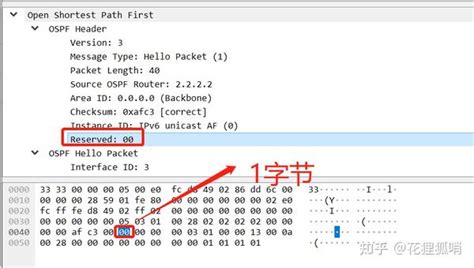 ospfv3报文格式 知乎