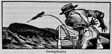 The Mystic Marked Whale Remains Undecipherable Moby Dick Reread Riff