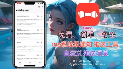 Bark免费简单安全 Ios自定义推送工具 Apns系统级通知真推送 Youtube