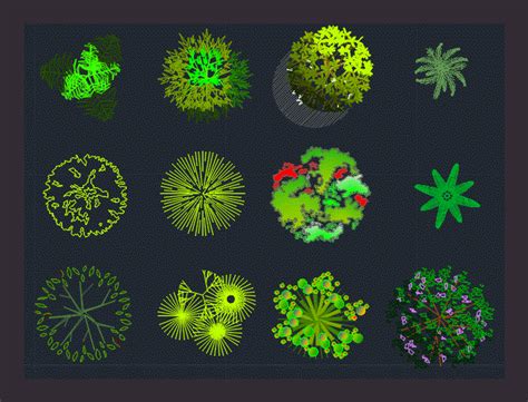 Vegetation Cad Blocks