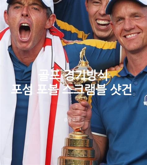 골프 경기방식 포섬 스리섬 포볼 스크램블 네이버 블로그