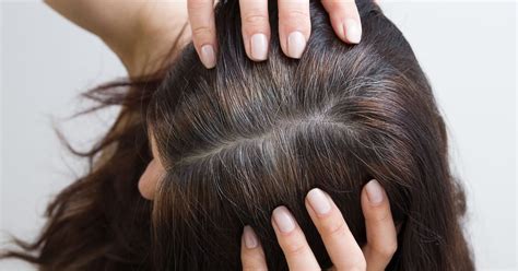 Scientists May Have Discovered Why Hair Turns Grey The Irish Times