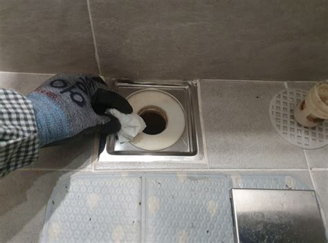 정화조 냄새 욕실하수구냄새차단 트랩 시공 비용 네이버 블로그