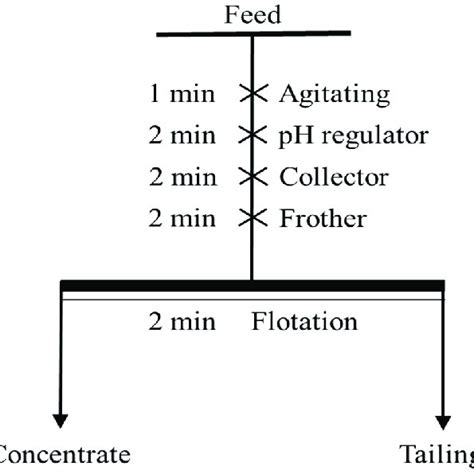 Flow Chart Depicting The Process Of The Flotation Experiments Download Scientific Diagram
